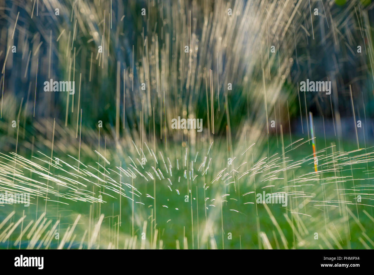 Water shooting into the air above a garden sprinkler in a Sydney ...