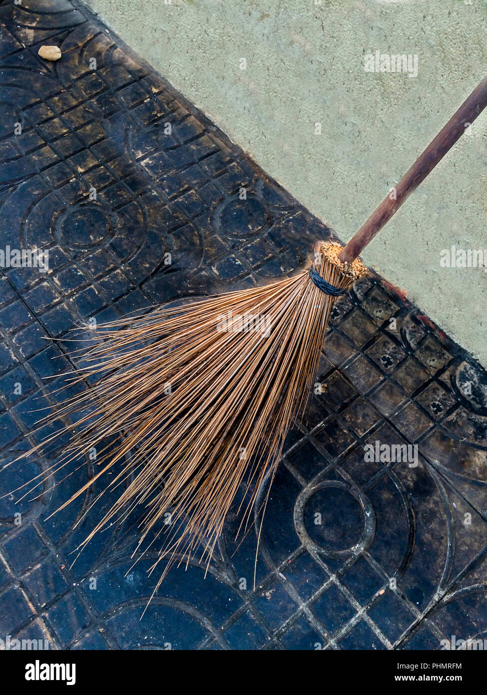 Broom palm hi-res stock photography and images - Alamy