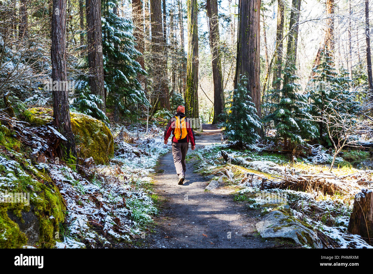 Hike in the forest Stock Photo - Alamy