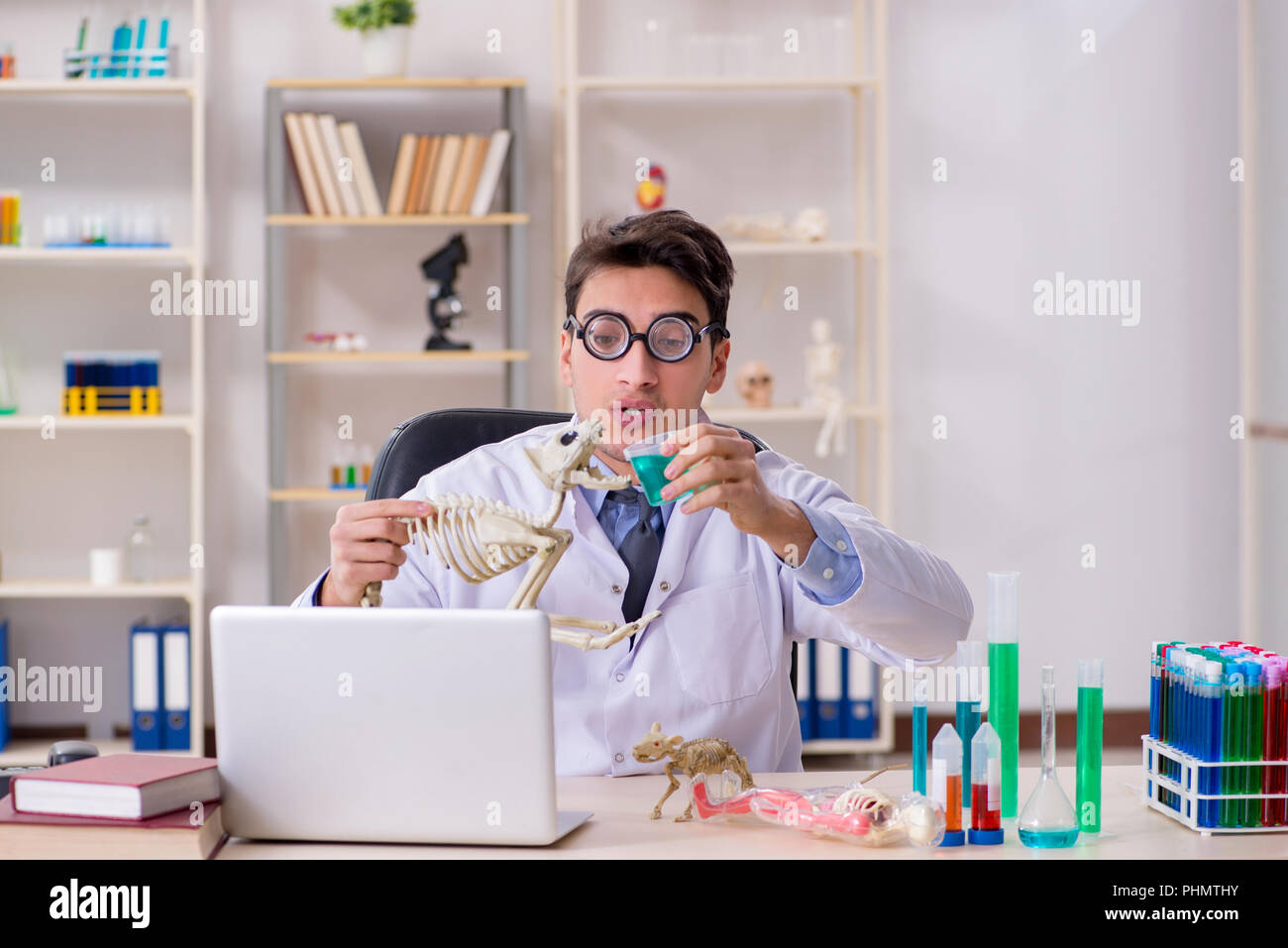 Funny scientist with cat skeleton in lab clinic Stock Photo - Alamy