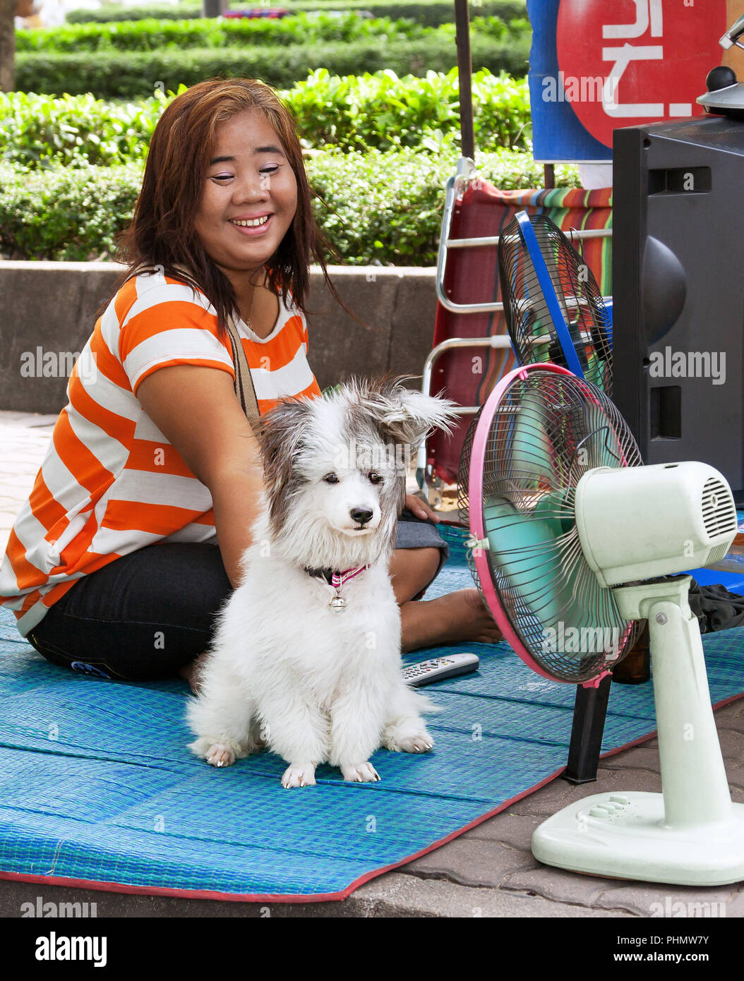 Pet relief hi-res stock photography and images - Alamy