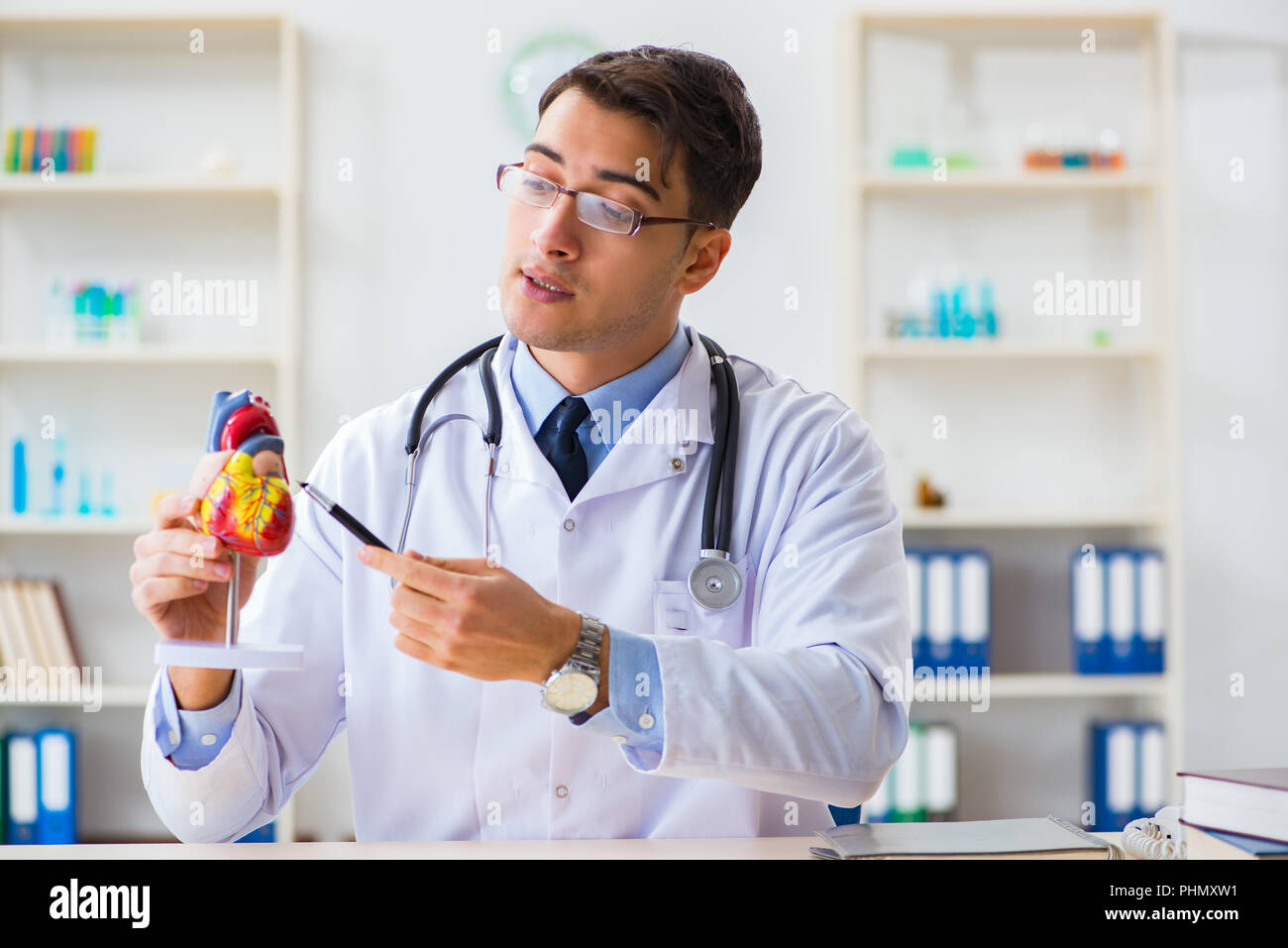 Doctor explaining the heart model Stock Photo - Alamy