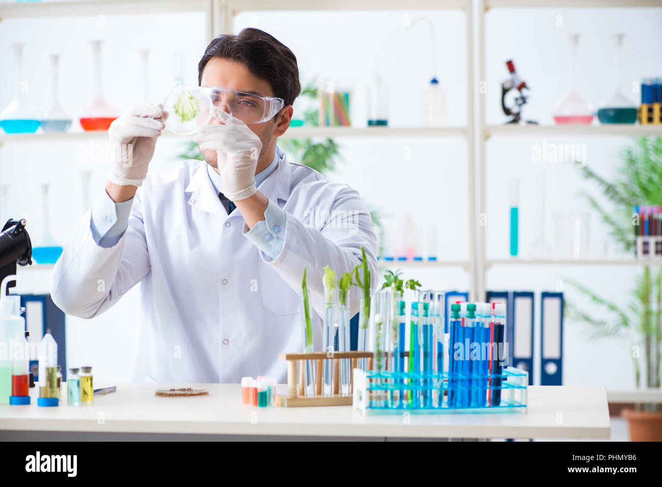 Male biochemist working in the lab on plants Stock Photo - Alamy
