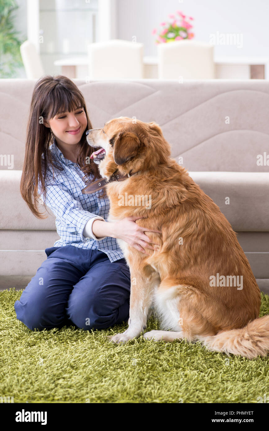 Happy woman dog owner at home with golden retriever Stock Photo - Alamy