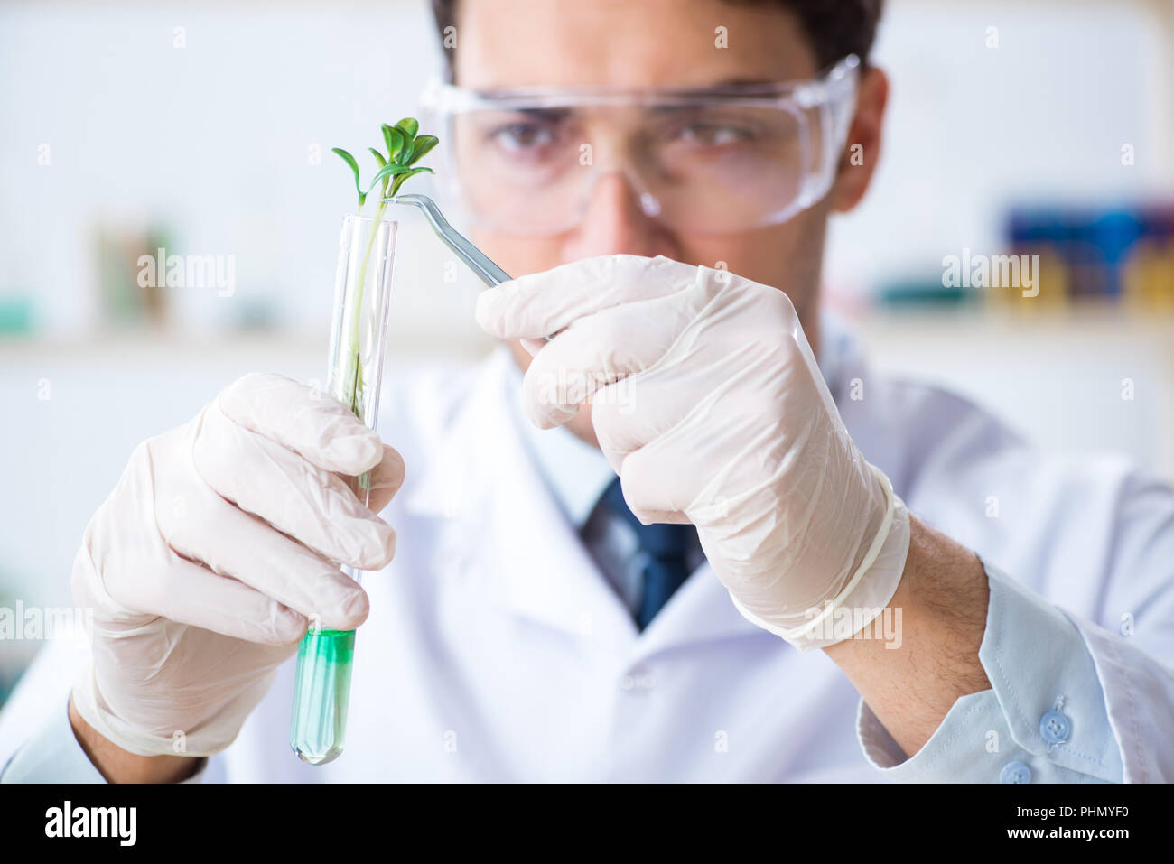 Male biochemist working in the lab on plants Stock Photo - Alamy
