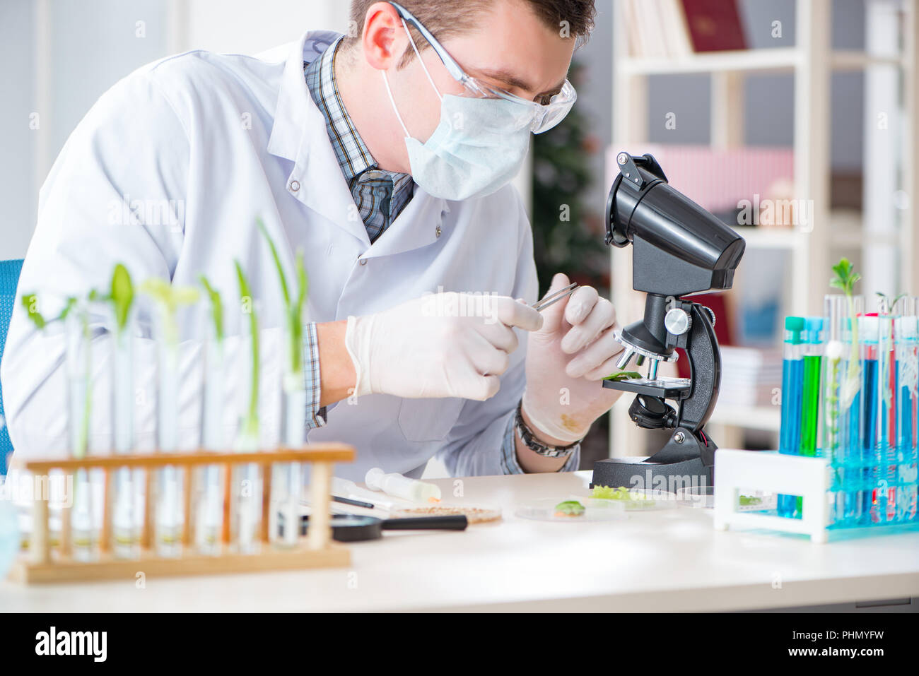 Male biochemist working in the lab on plants Stock Photo - Alamy