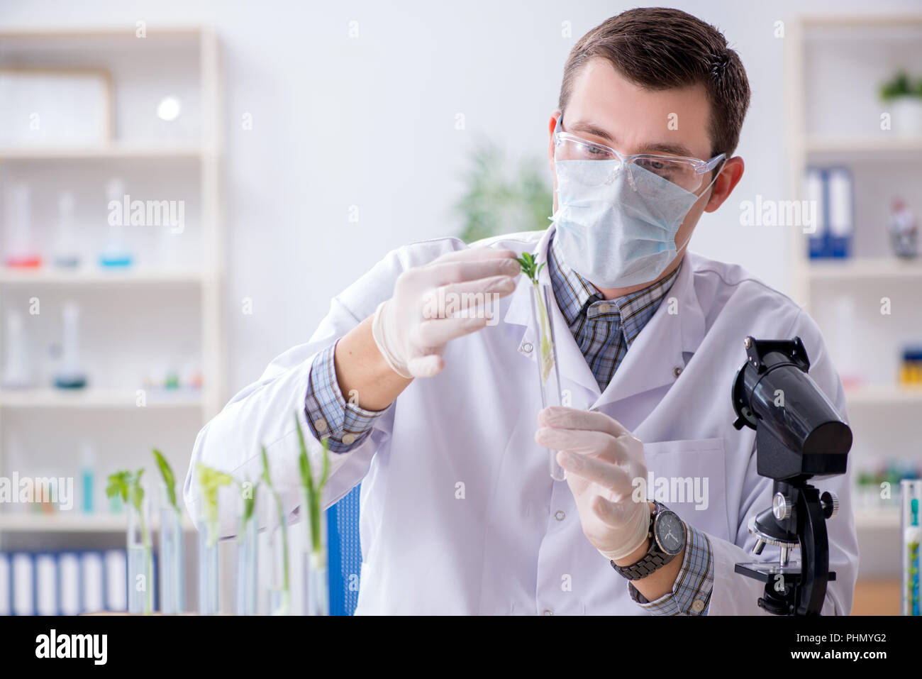 Male biochemist working in the lab on plants Stock Photo - Alamy