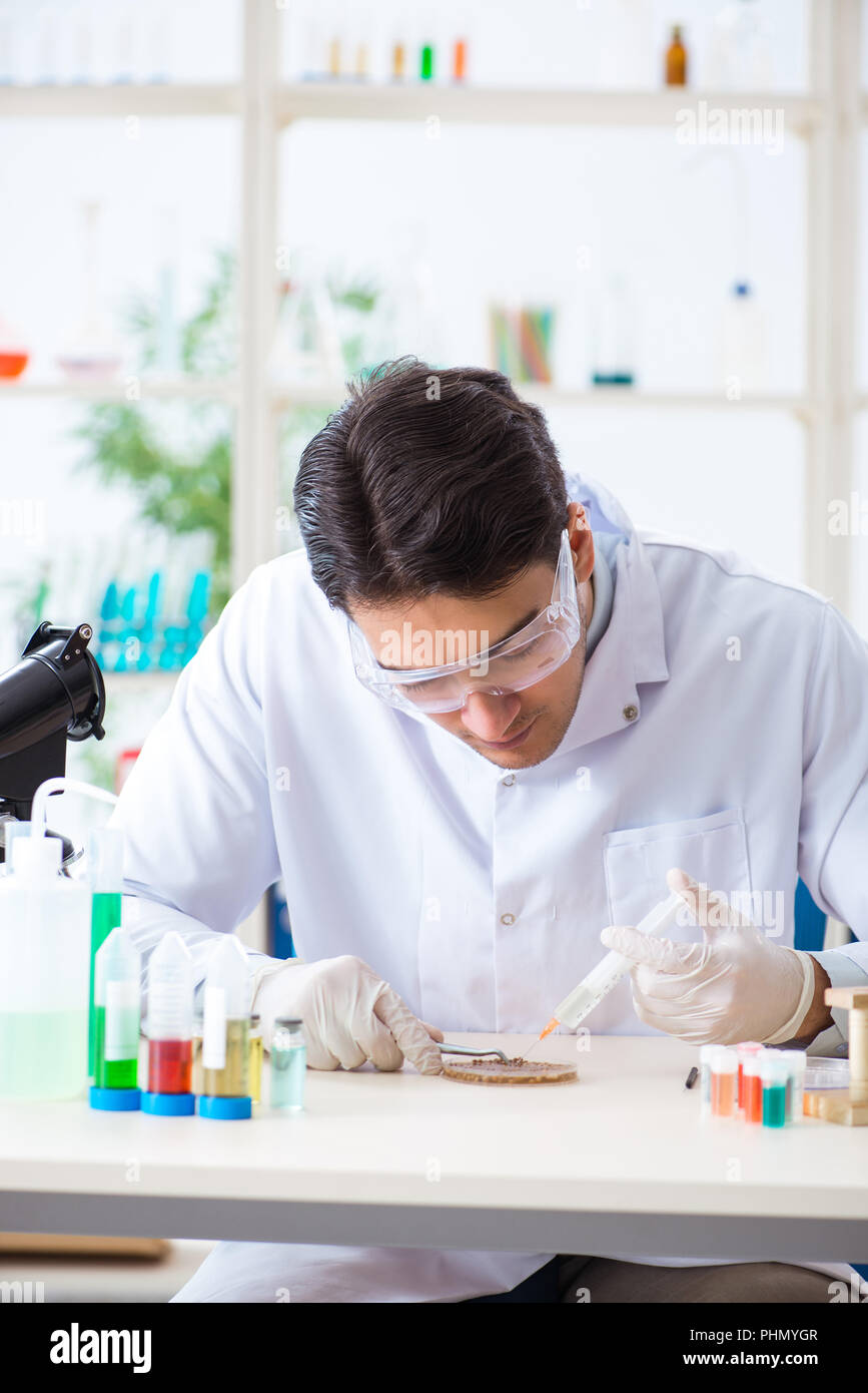 Male biochemist working in the lab on plants Stock Photo - Alamy