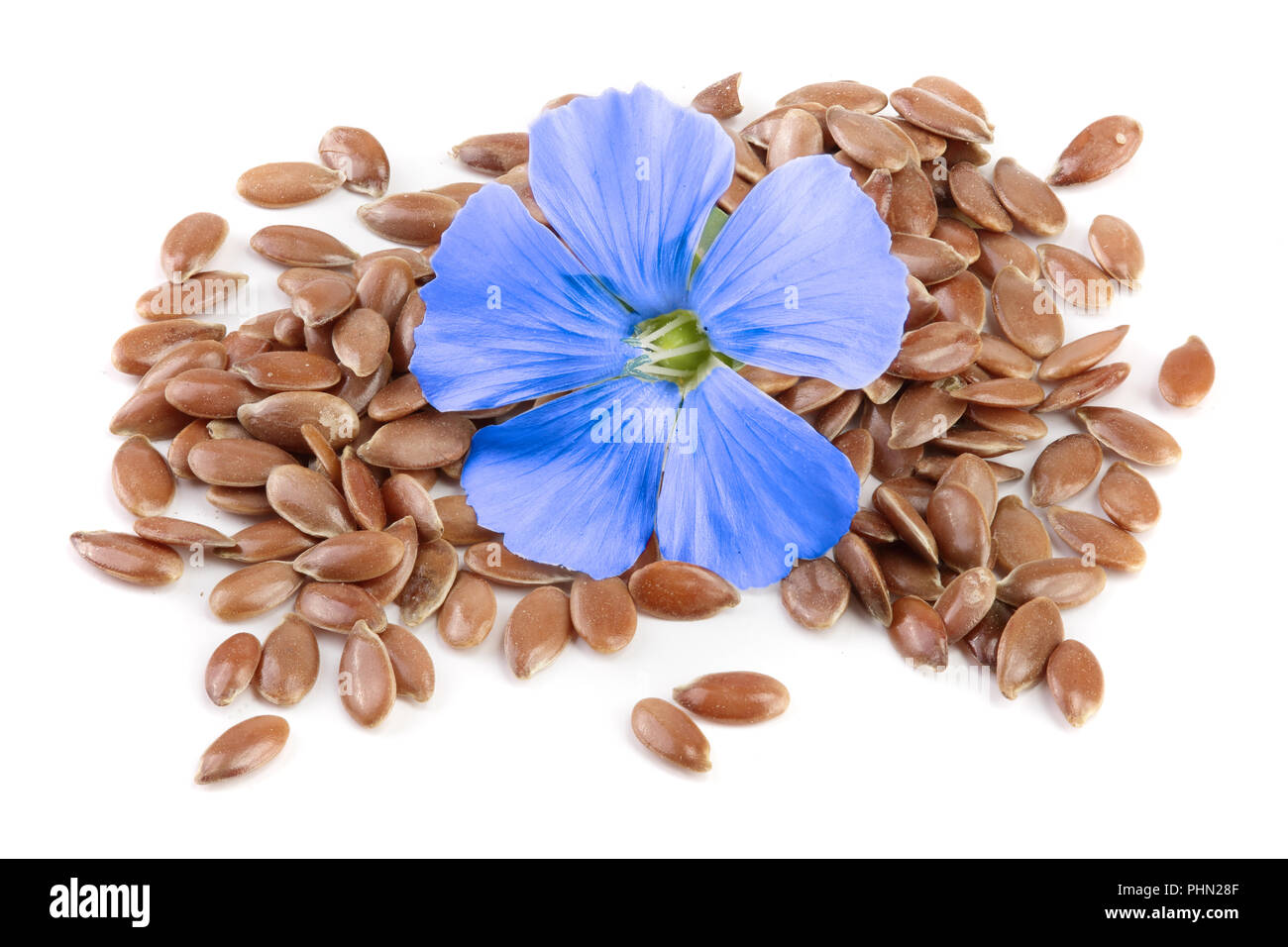 flax seeds with flower isolated on white background Stock Photo - Alamy