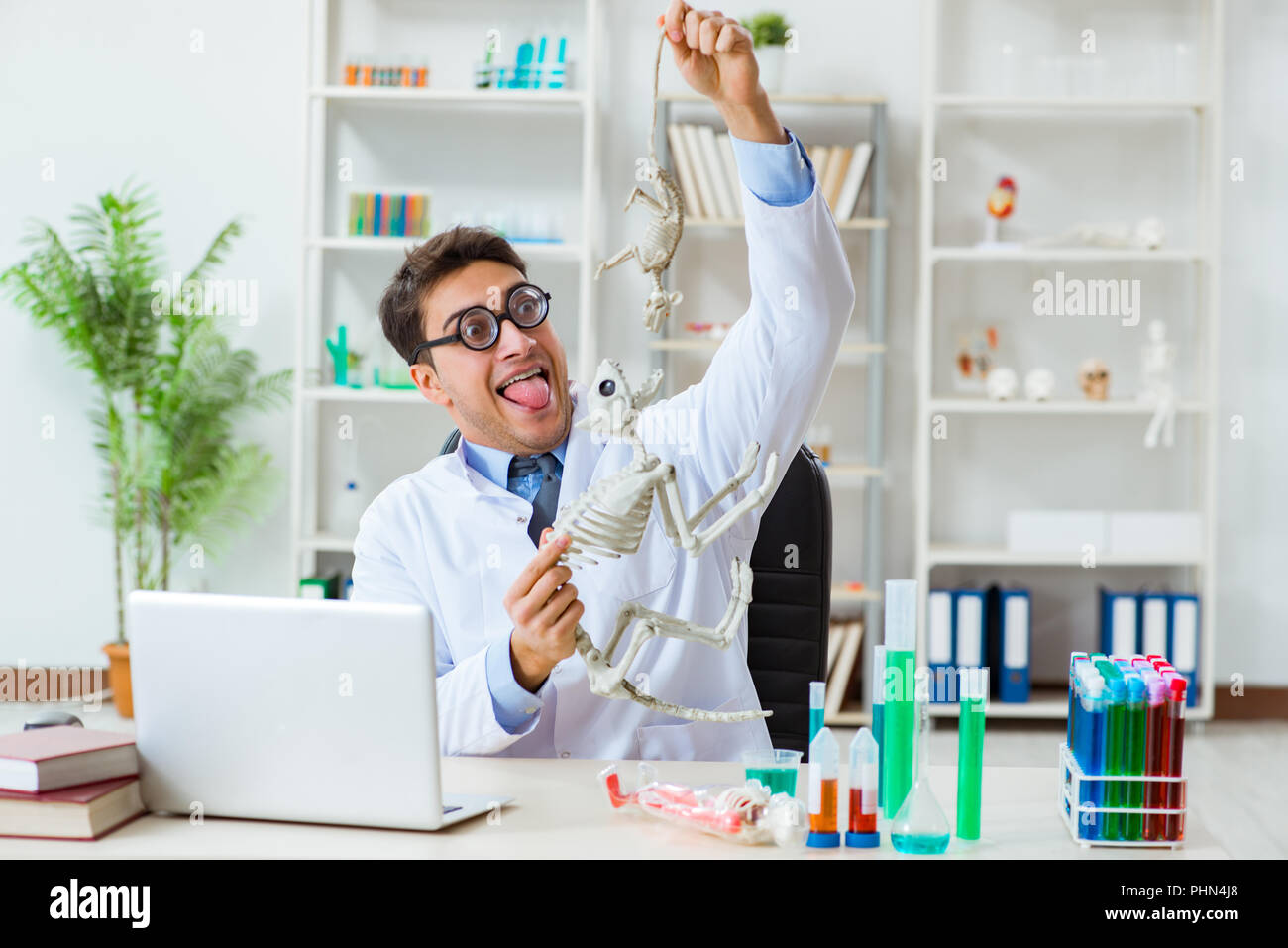 Funny scientist with cat skeleton in lab clinic Stock Photo - Alamy