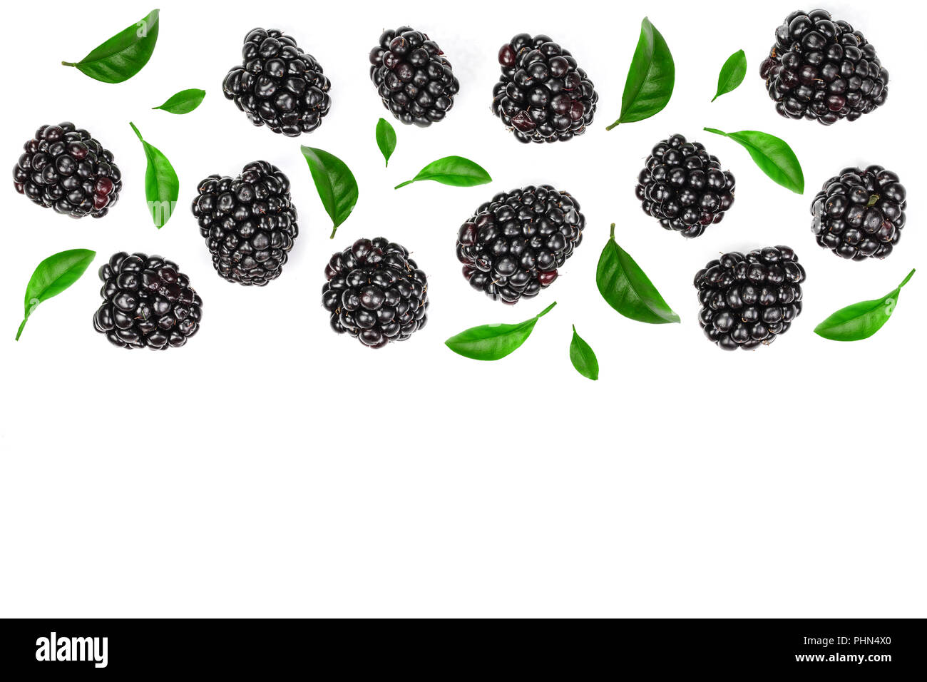 Fresh blackberry with leaves isolated on white background with copy ...