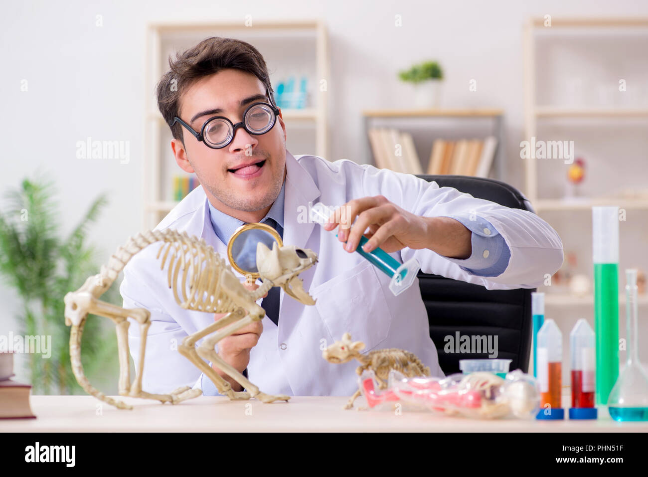 Funny scientist with cat skeleton in lab clinic Stock Photo - Alamy