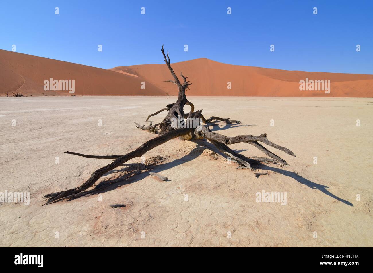 Dead Vlei in Namib desert, Namibia, Africa Stock Photo - Alamy
