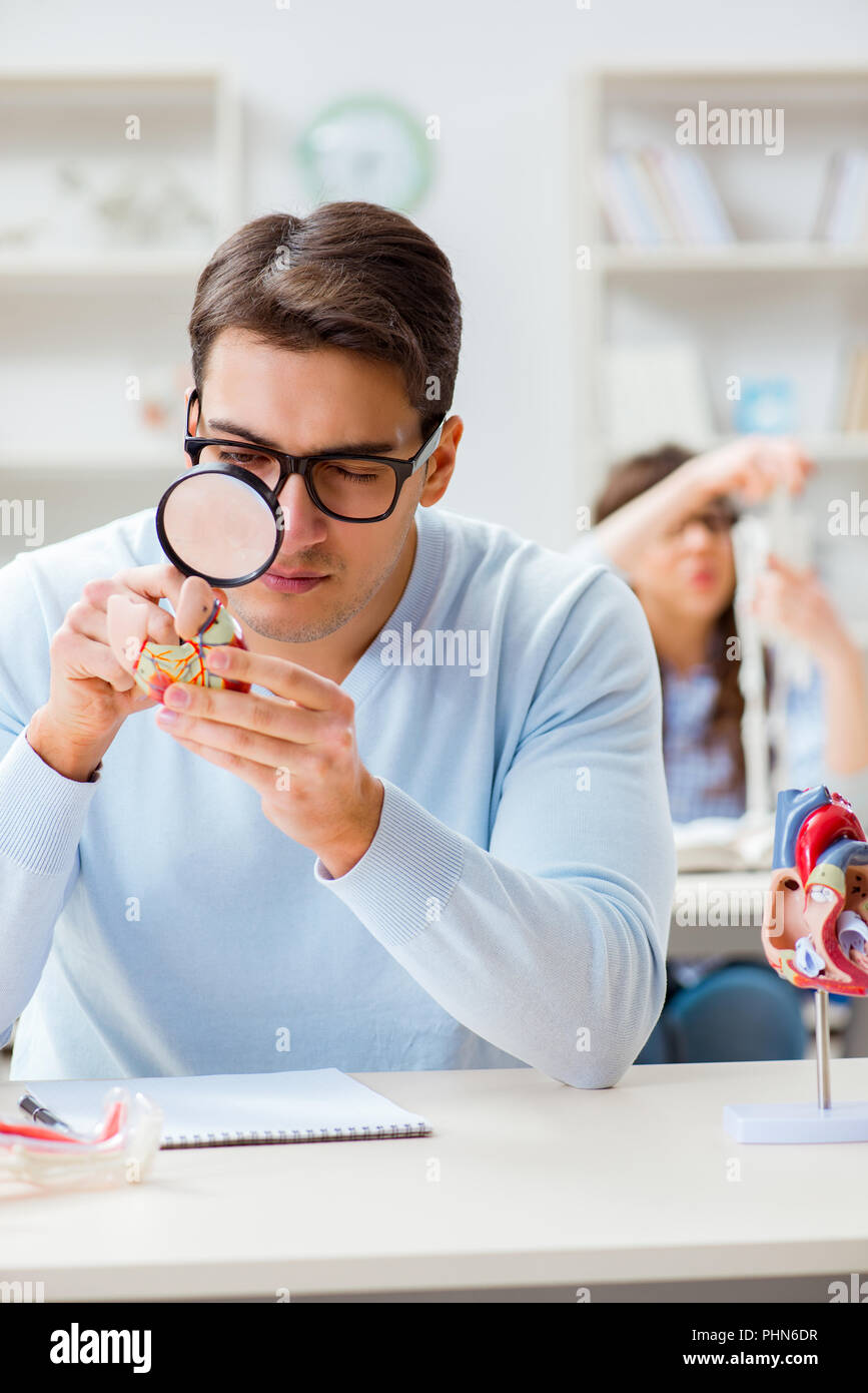 Two medical students studying in classroom Stock Photo - Alamy