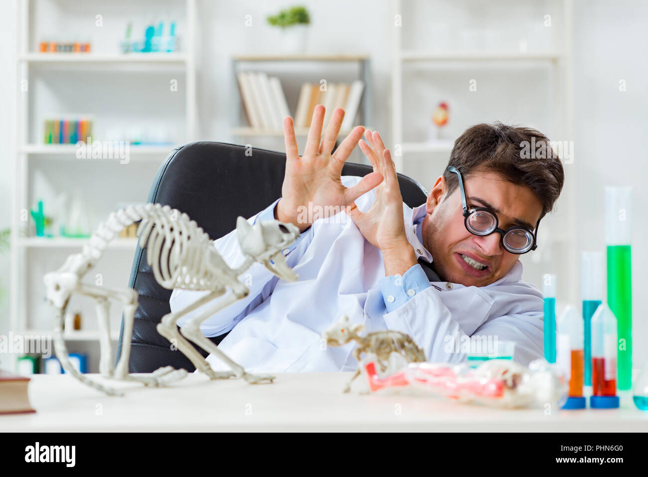 Funny scientist with cat skeleton in lab clinic Stock Photo - Alamy