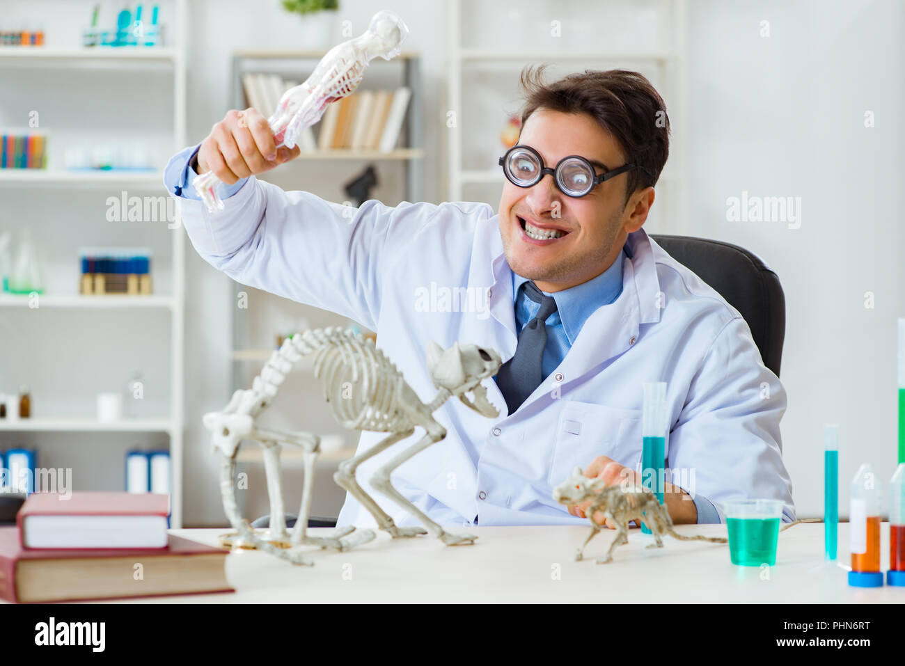 Funny scientist with cat skeleton in lab clinic Stock Photo - Alamy