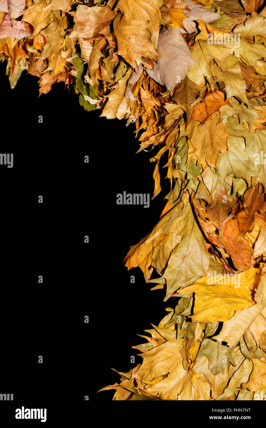 Messy leaves hi-res stock photography and images - Alamy