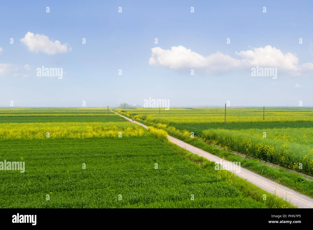 Beautiful field view hi-res stock photography and images - Alamy