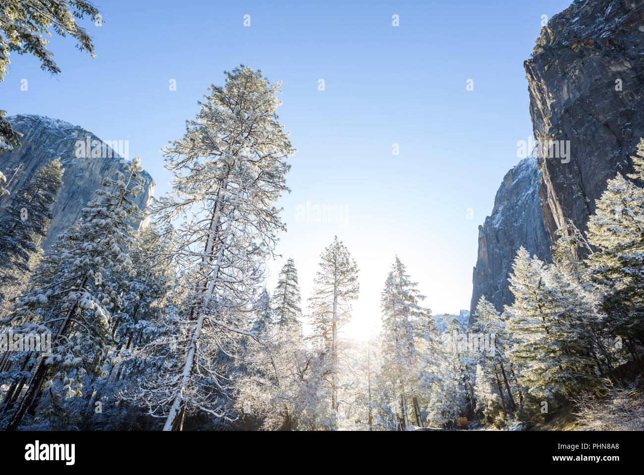 Early spring in Yosemite Stock Photo - Alamy