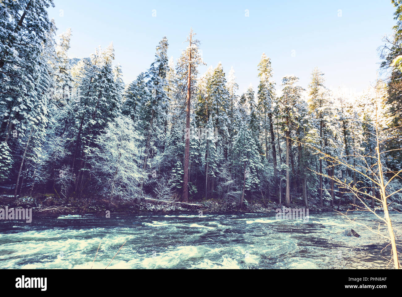 Early spring in Yosemite Stock Photo - Alamy