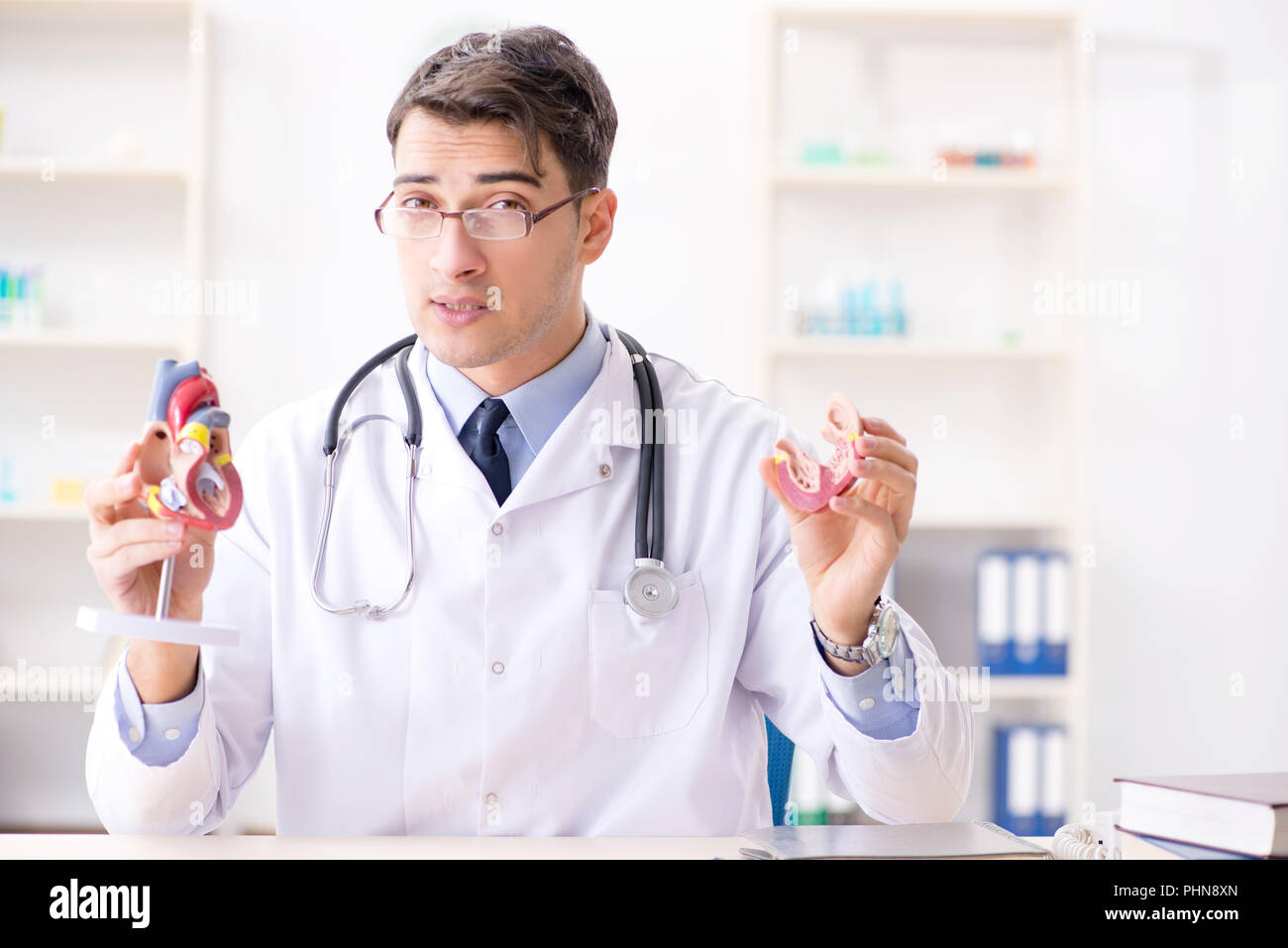 Doctor lecturer explaining the heart model Stock Photo - Alamy