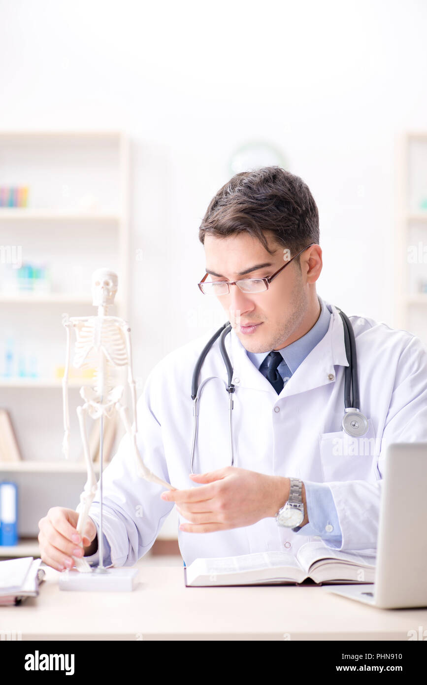 Doctor explaining human body on skeleton Stock Photo - Alamy