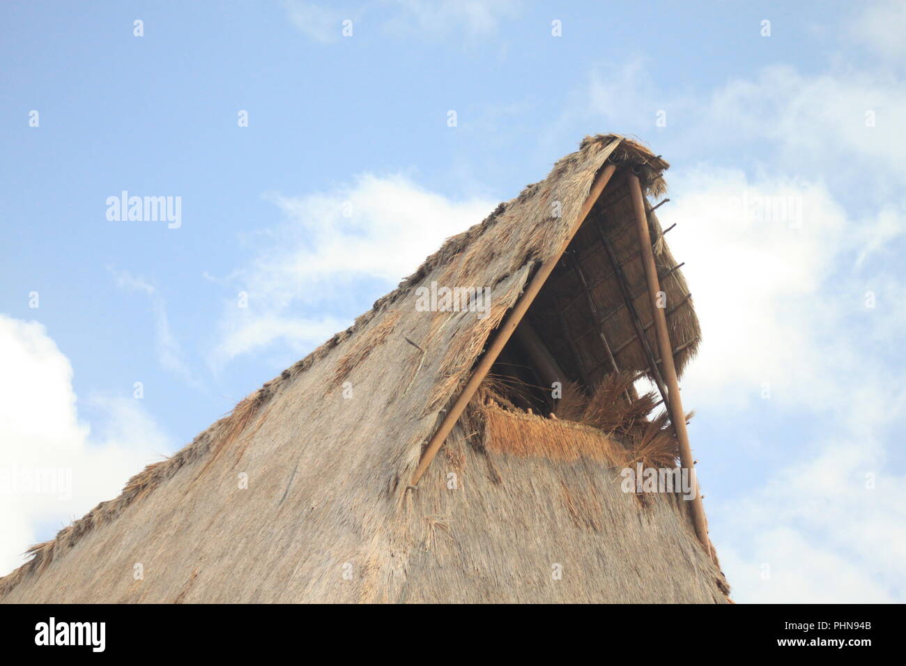 Bamboo house africa hi-res stock photography and images - Alamy