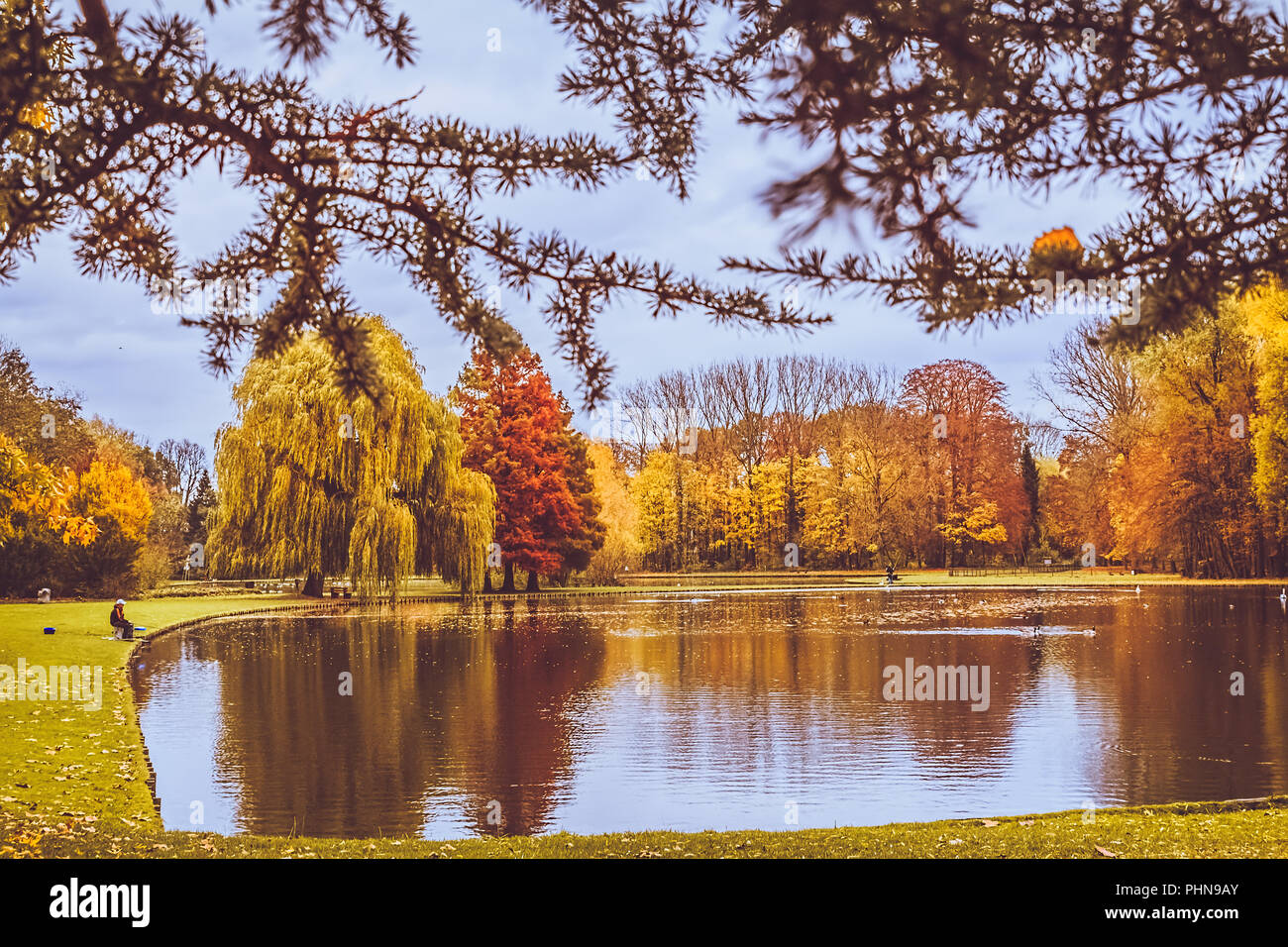 Pond in beautiful autumn light Stock Photo - Alamy