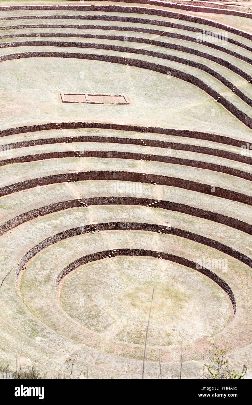 circular terraces at Moray Stock Photo - Alamy