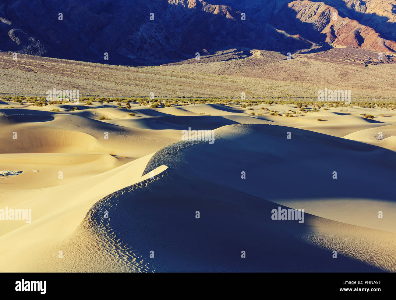 Sand dunes in California Stock Photo - Alamy