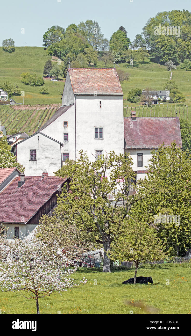 Castle Klingnau, Kanton Aargau, Switzerland Stock Photo - Alamy