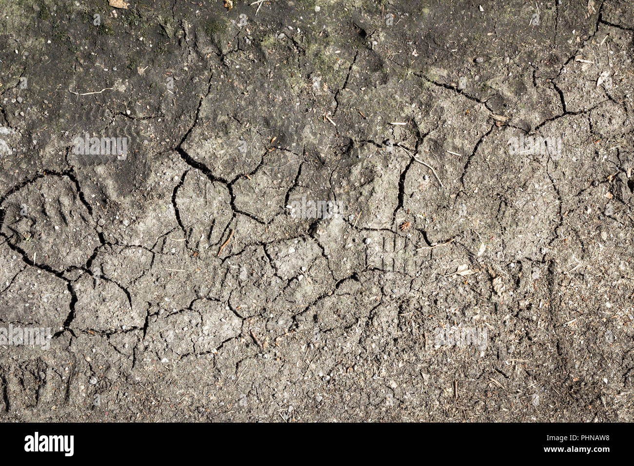 Dry muddy background Stock Photo - Alamy
