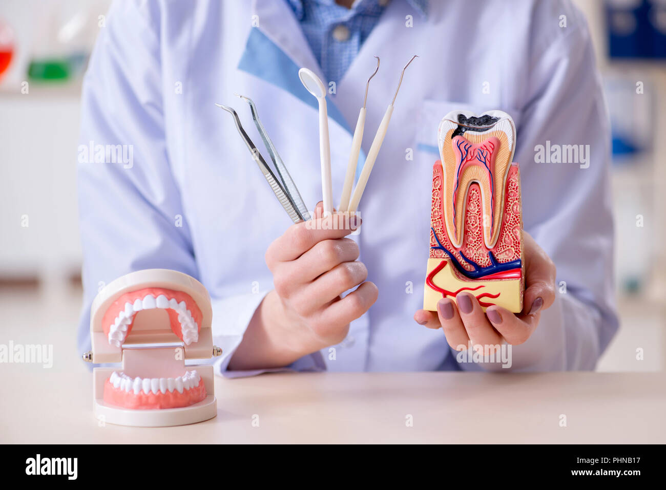 Dentist practicing work on tooth model Stock Photo - Alamy