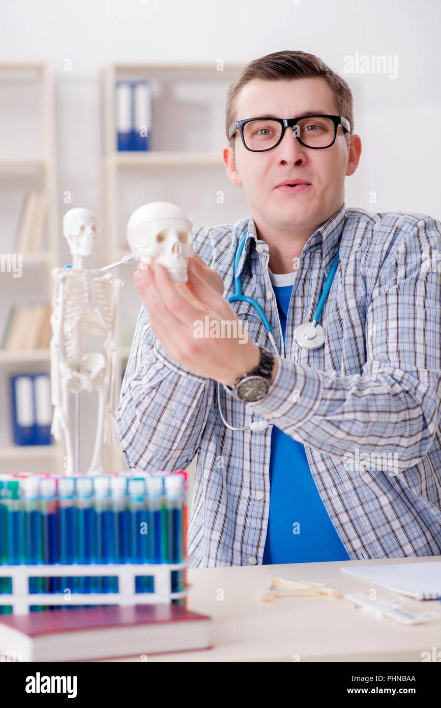 Medical student studying skeleton in classroom during lecture Stock ...
