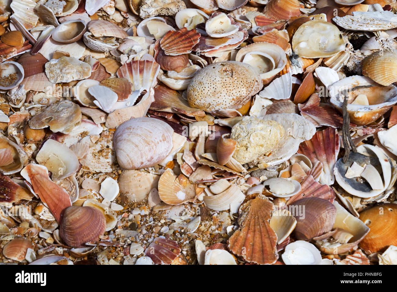 Groessenunterschiede hi-res stock photography and images - Alamy