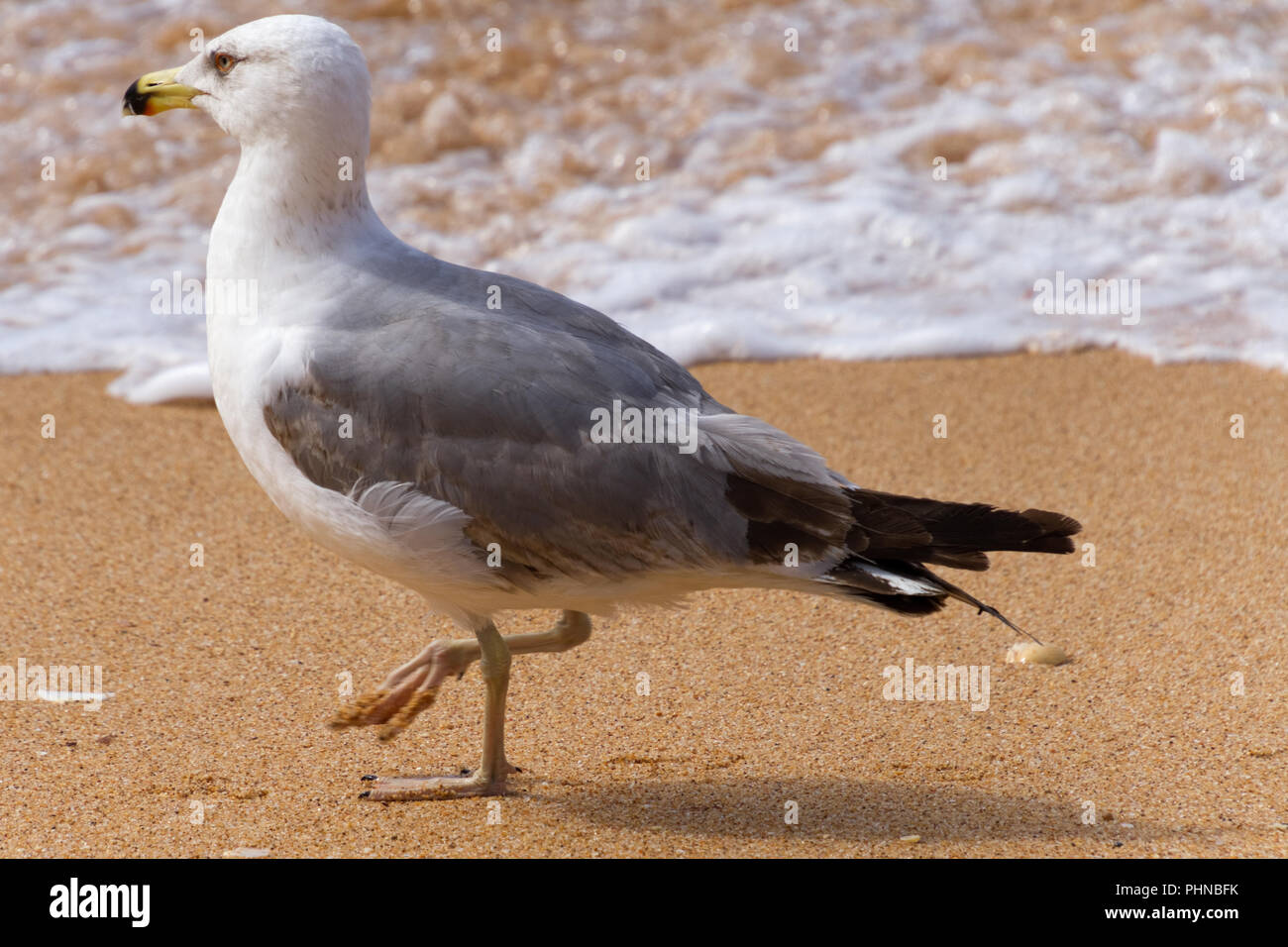 Bids eye view hi-res stock photography and images - Alamy