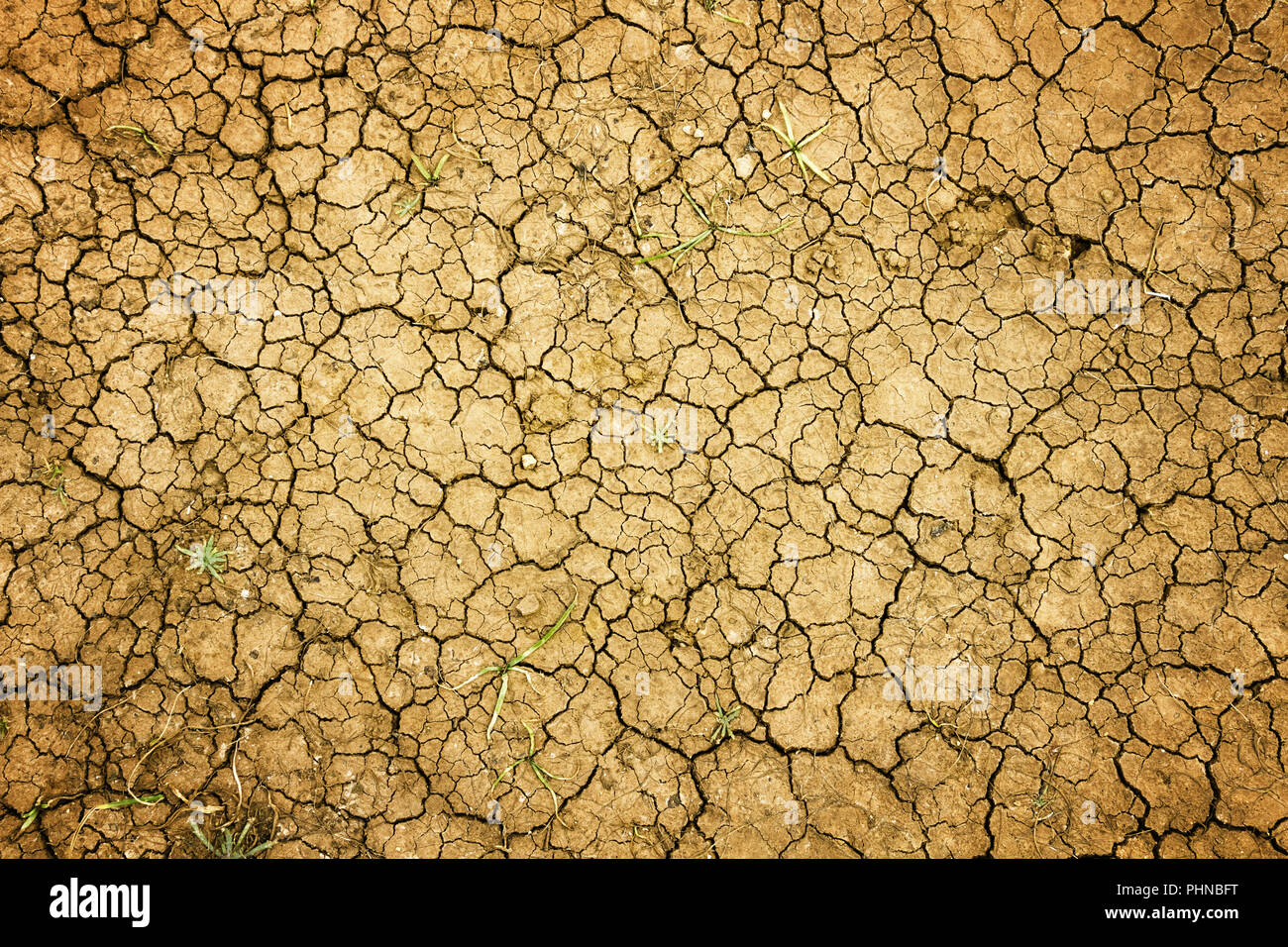 cracked dry earth Stock Photo - Alamy