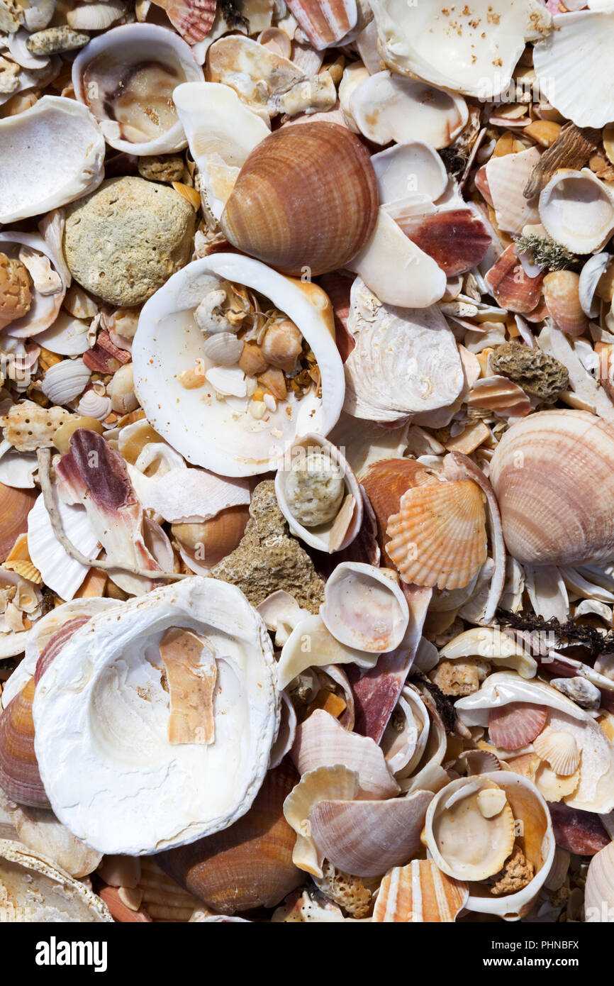 Into the oggin hi-res stock photography and images - Alamy