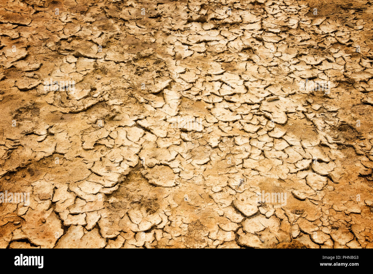 cracked dry earth Stock Photo - Alamy