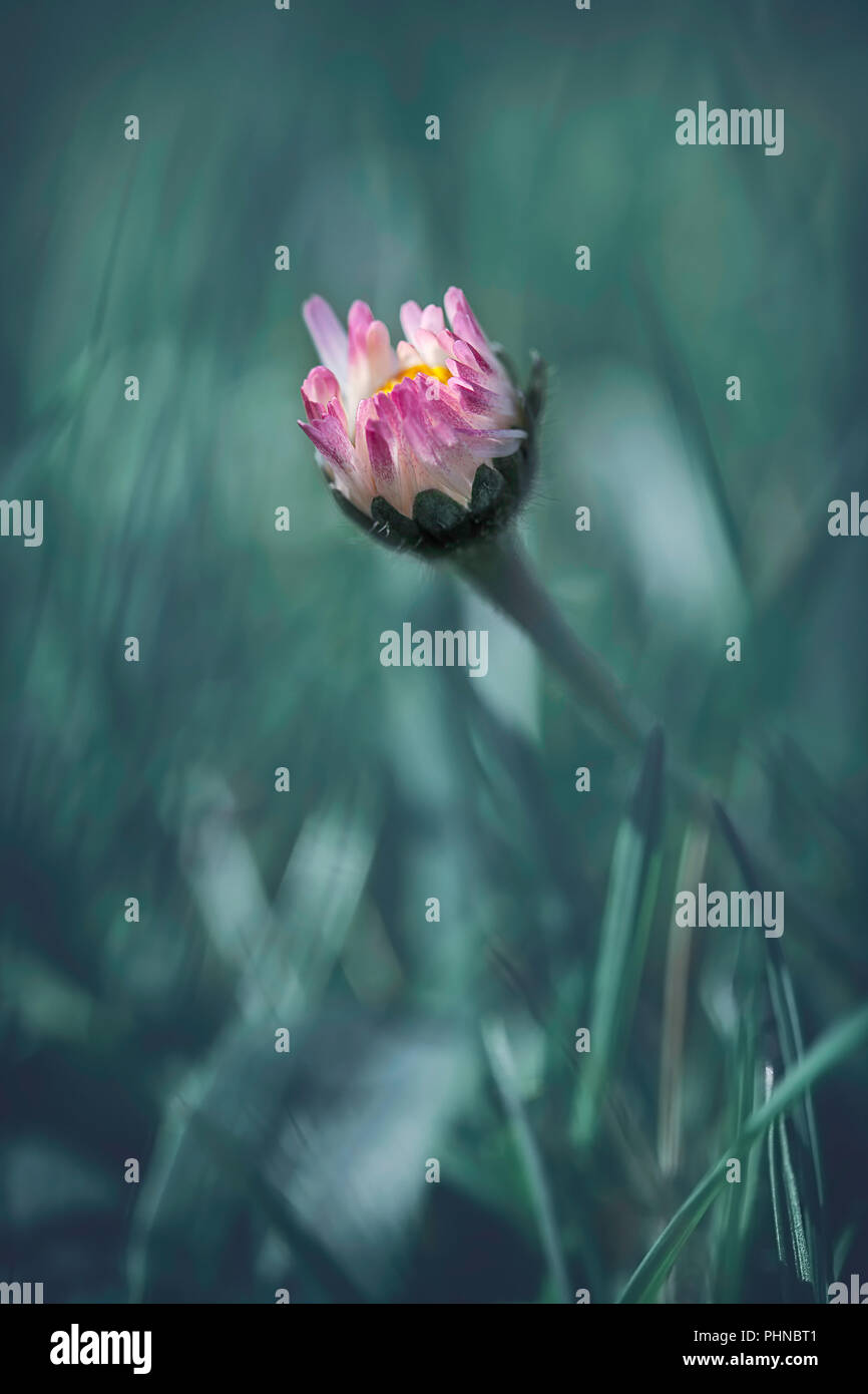 Breaking up the stems hi-res stock photography and images - Alamy