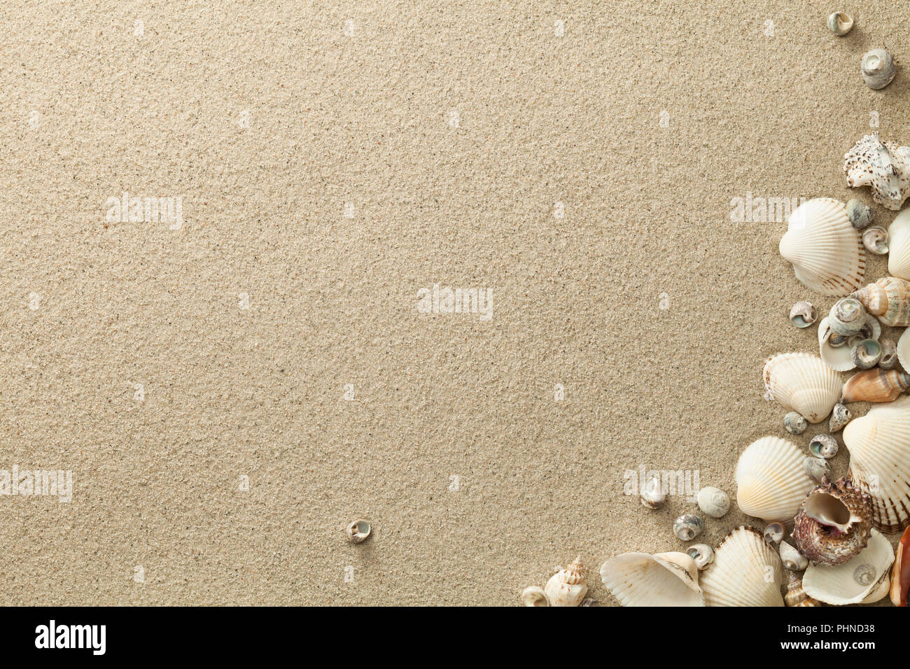 Sandy Beach Background with Shells Stock Photo - Alamy