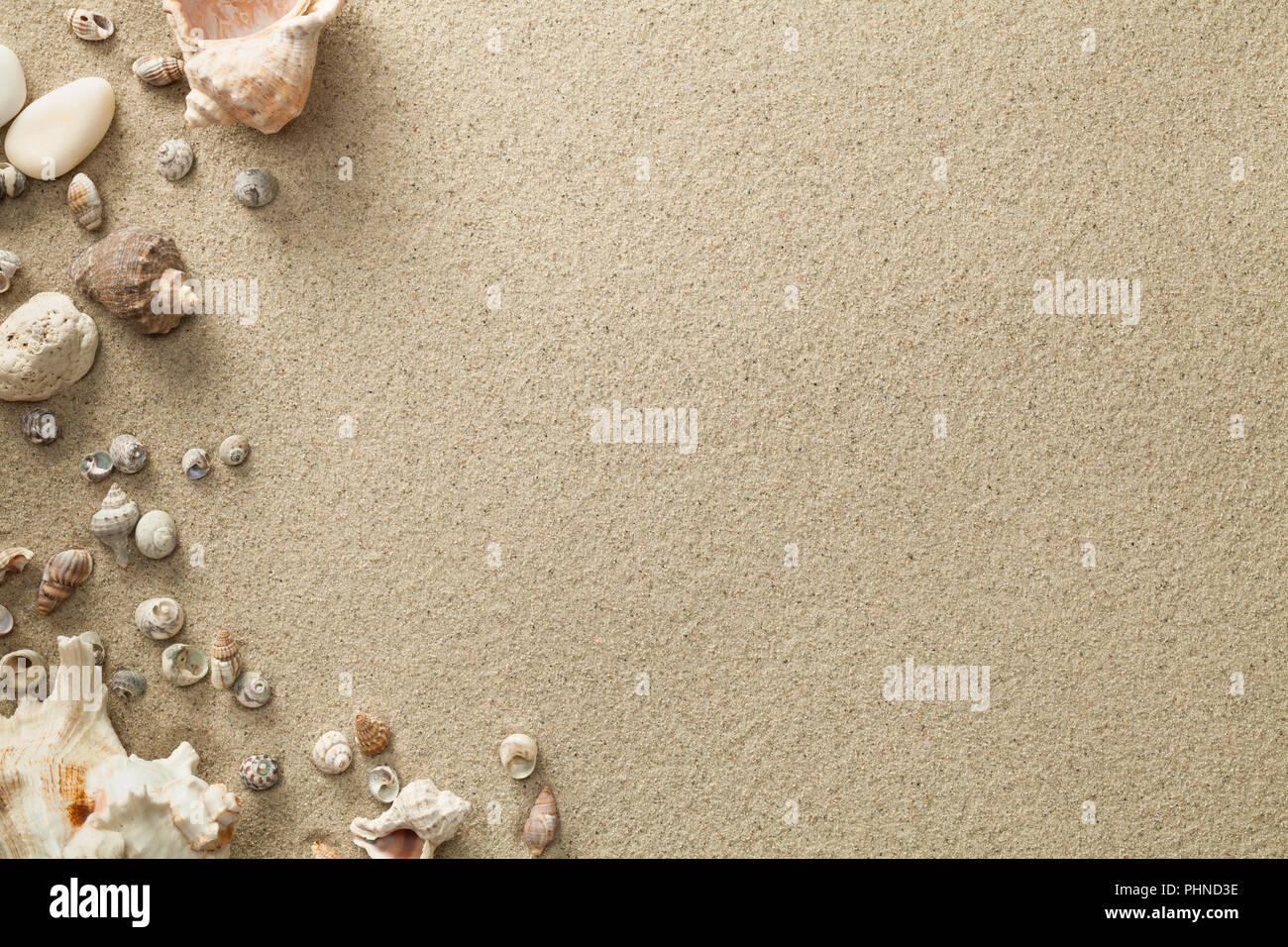 Sandy Beach Background with Shells Stock Photo - Alamy