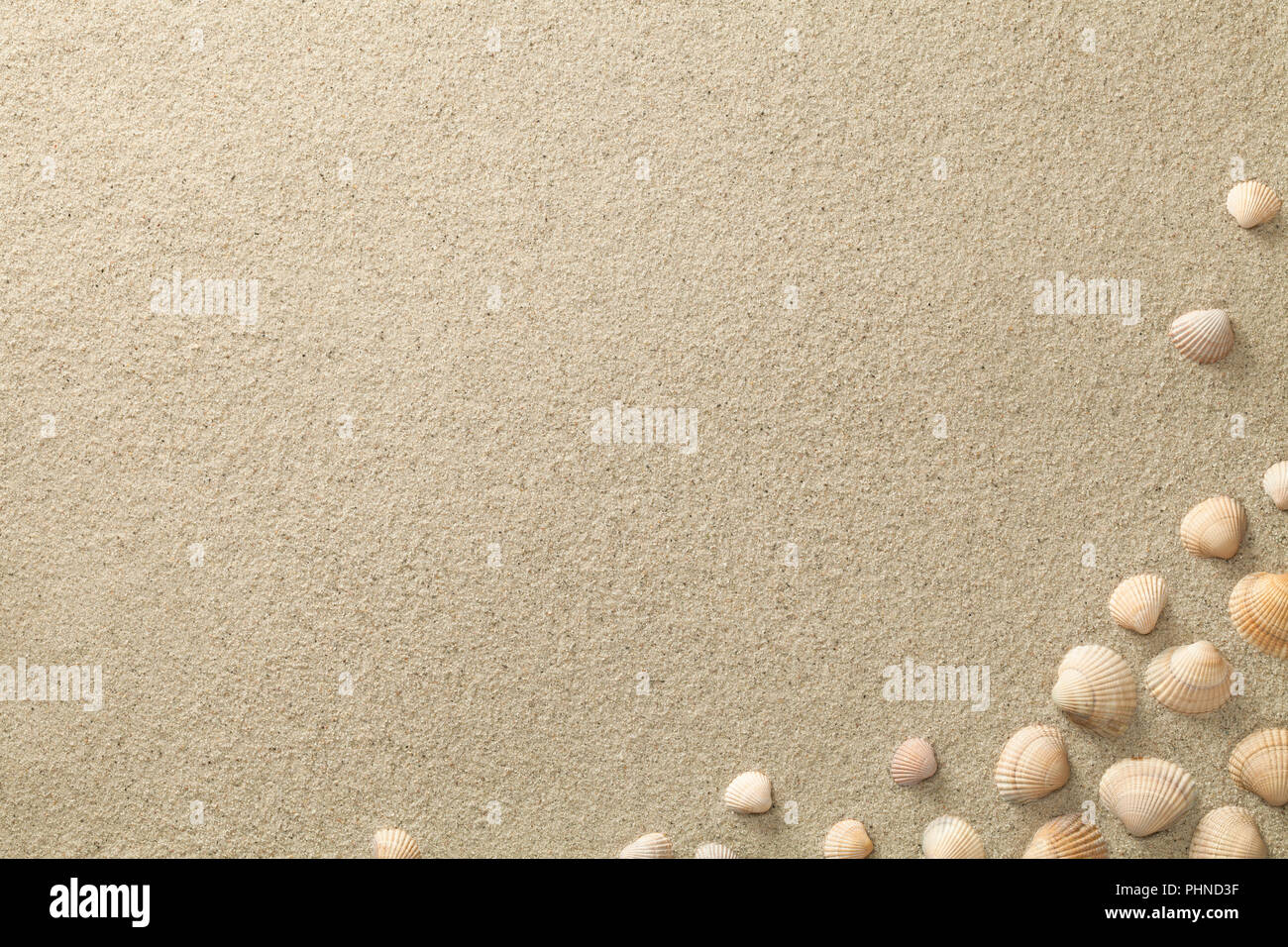 Sandy Beach Background with Shells Stock Photo - Alamy