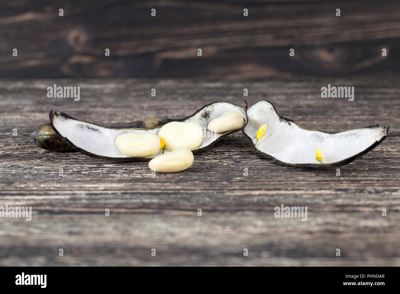 Dry open pod beans hi-res stock photography and images - Alamy