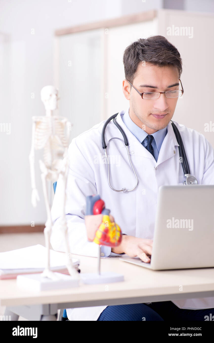 Doctor lecturer explaining the heart model Stock Photo - Alamy