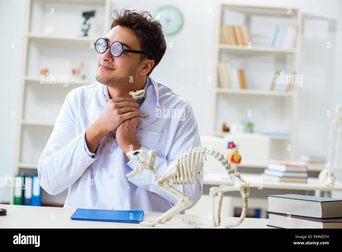 Funny crazy student doctor studying animal skeleton Stock Photo - Alamy