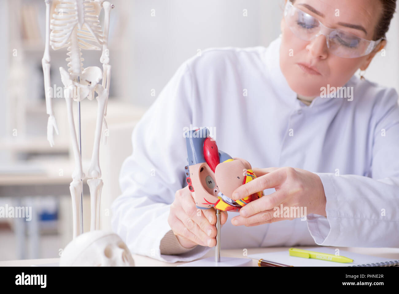 Doctor lecturer explaining various parts of heart Stock Photo - Alamy
