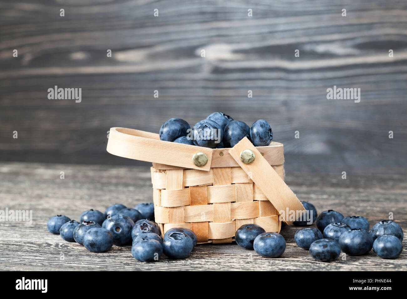 a large ripe blueberry berries during harvesting, the beginning of ...