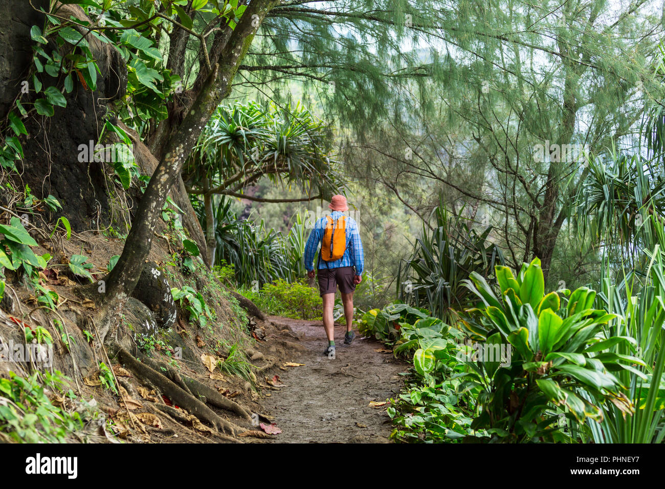 Hilife High Resolution Stock Photography and Images - Alamy