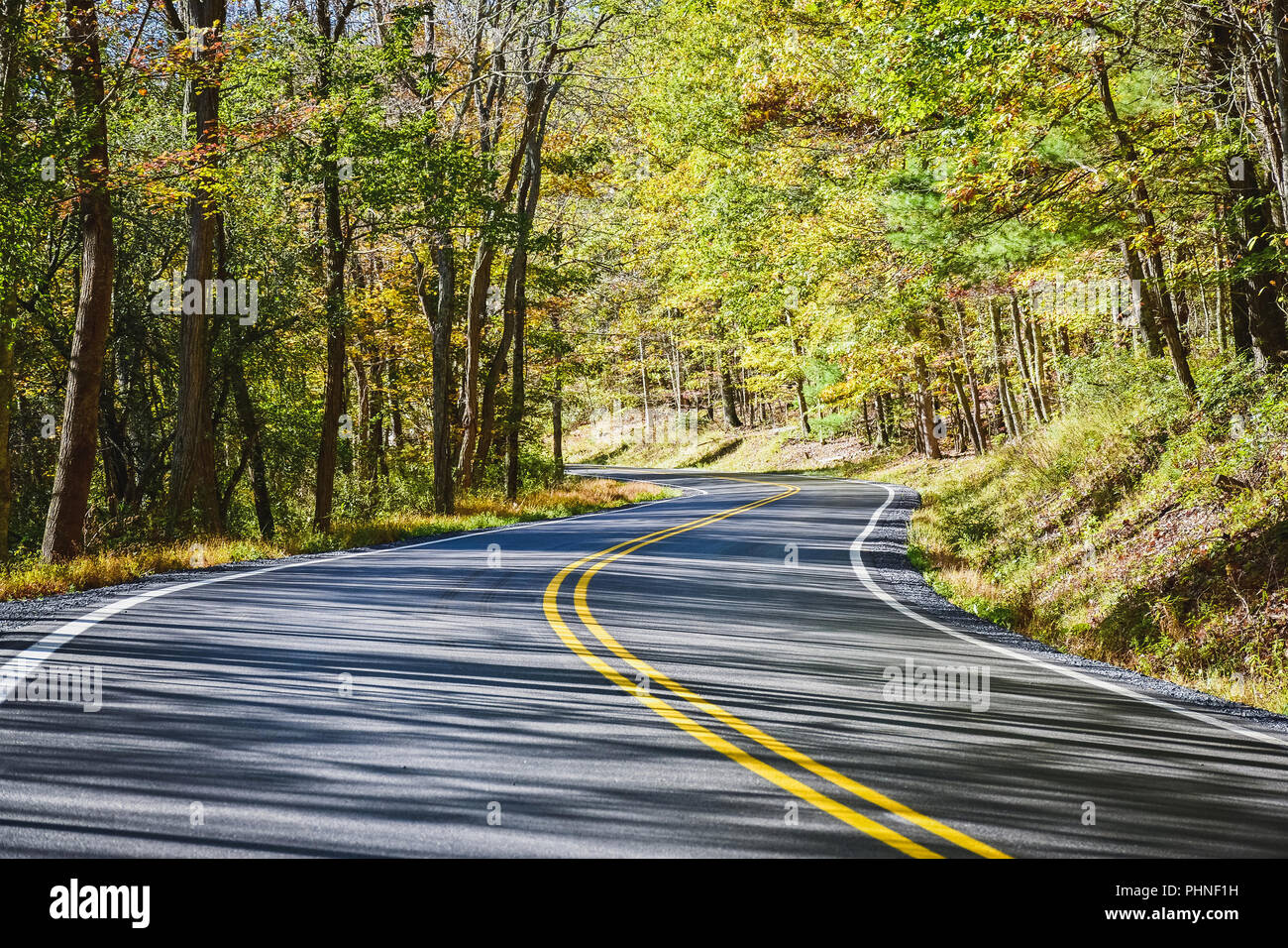 curve of the road winding through the woods Stock Photo - Alamy